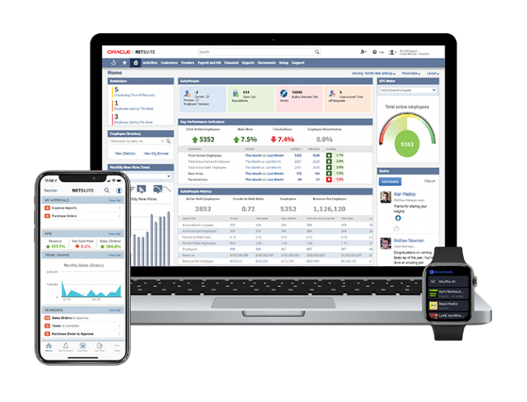 NetSuite ERP Consultant | NetSuite Integration | STREAMS Solutions